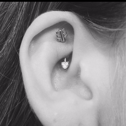 Eyebrow/Rook/Daith – Midnights Mojo